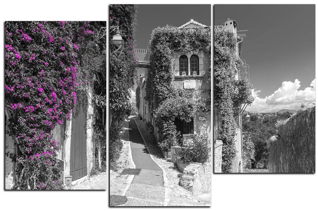 Obraz na plátně - Krásná architektura v Provence 1236QD (105x70 cm)
