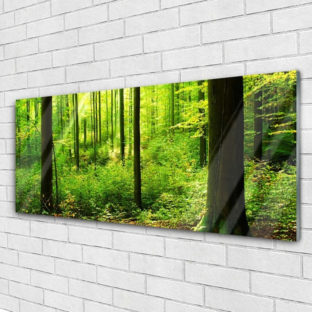 akrylový obraz Les Zeleň Stromy Příroda 125x50 cm