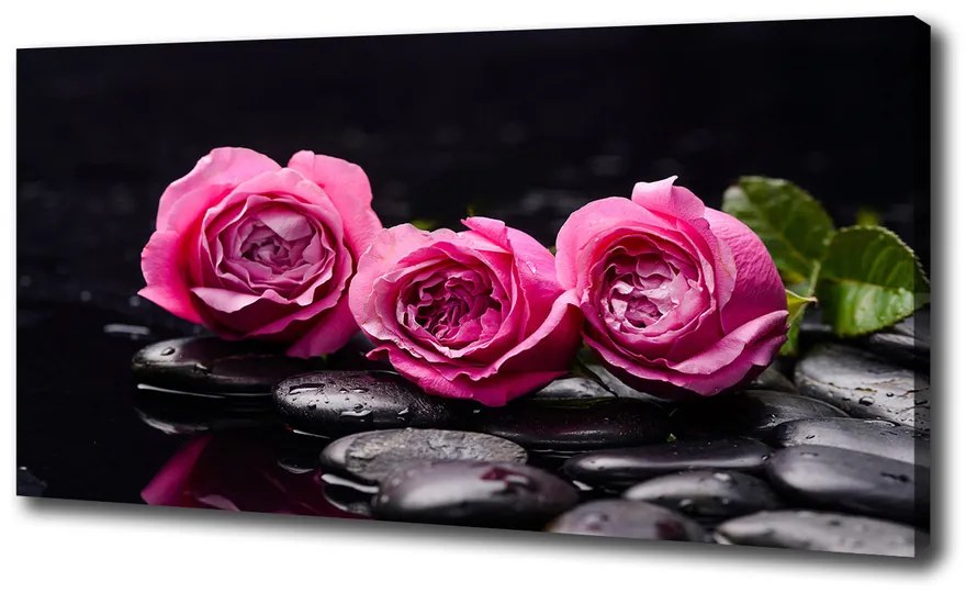 Wallmuralia Foto obraz na plátně do obýváku Růžové růže 100x50 cm