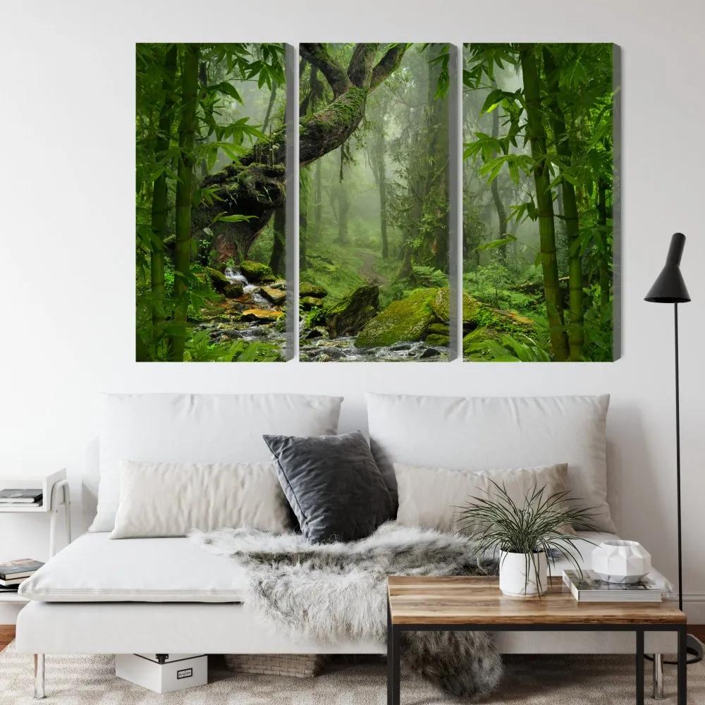 Vícedílný obraz Zeleň Deštného Pralesa Nedostatek Nedostatek Přírodní plátno 180x120
