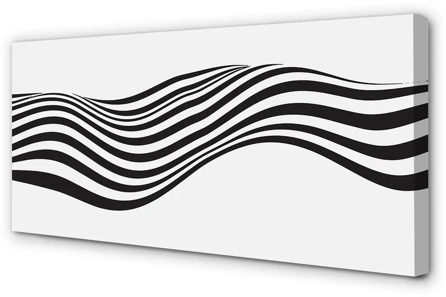 Obrazy na plátně Zebra pruhy vlna 100x50cm
