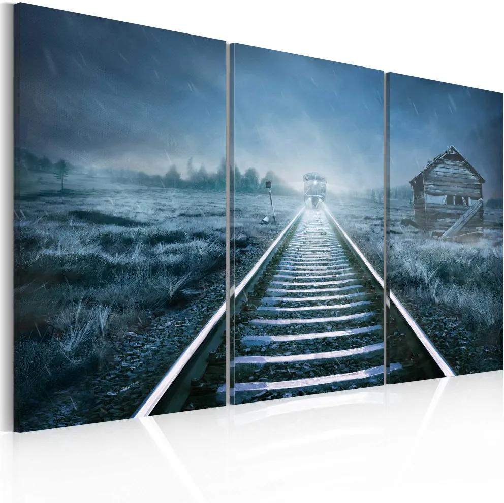 Obraz na plátně Bimago - A journey in the fog 60x40 cm