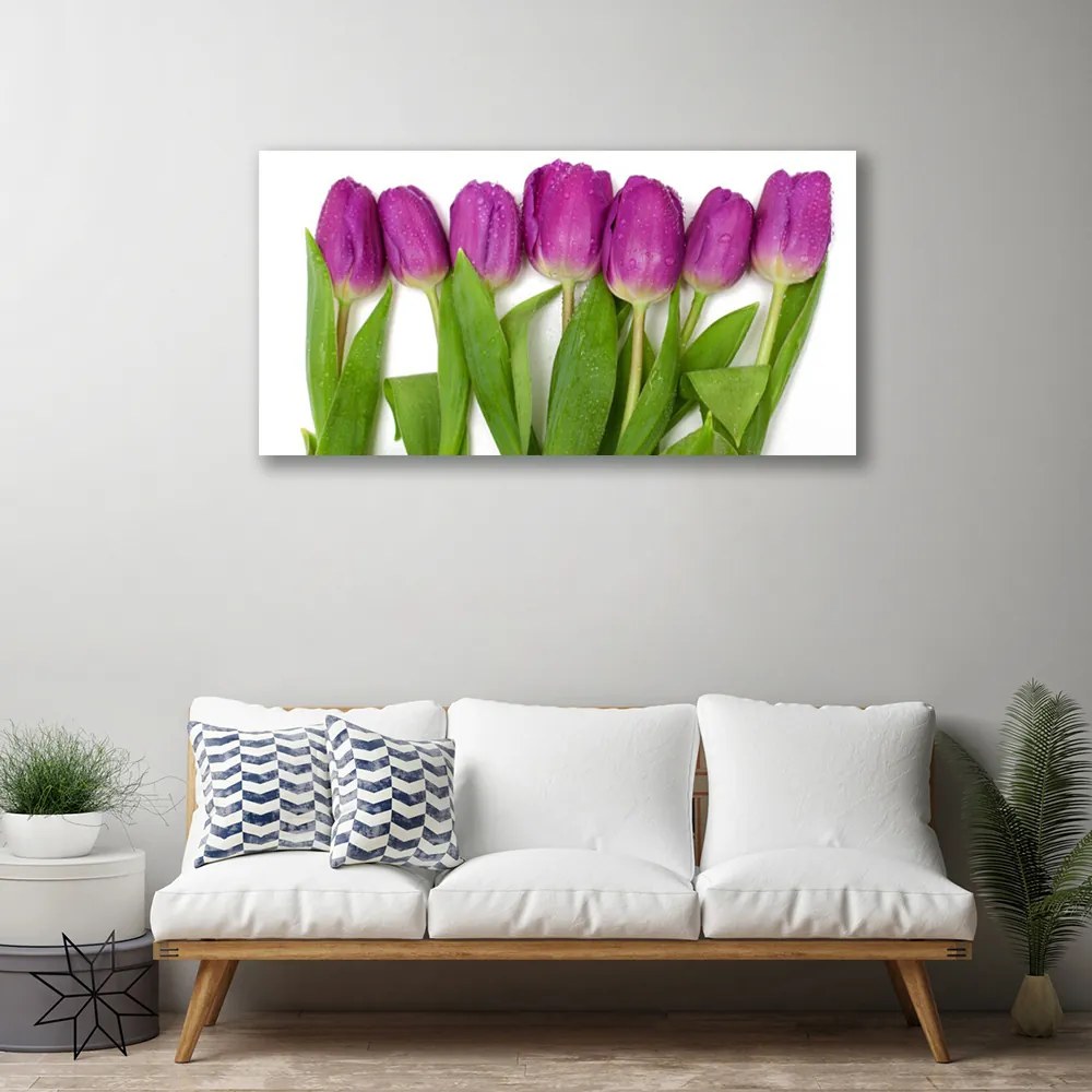 Obraz na plátně Tulipány Květiny Rostlina 125x50 cm