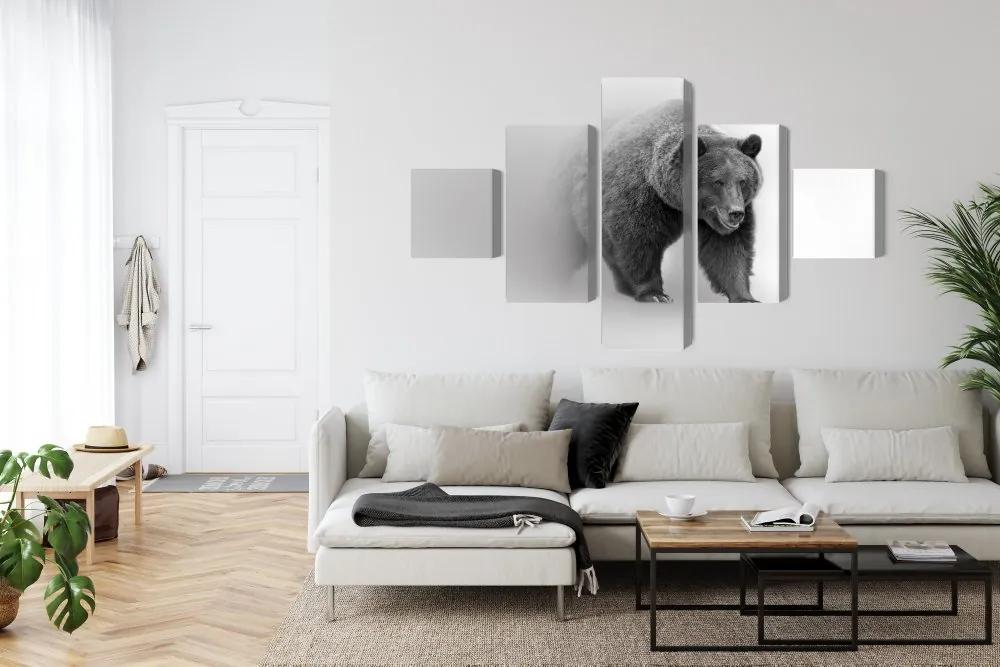 Vícedílný obraz Medvěd V Mlze 3D Nedostatek Nedostatek Plátno Canvas 150x90