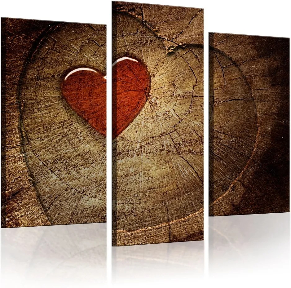 Obraz na plátně Bimago - Old love does not rust - triptych 60x50 cm