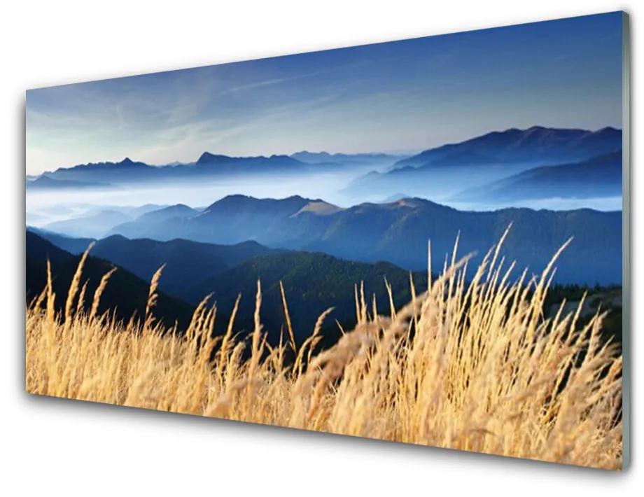 akrylový obraz Pole Krajina 140x70 cm