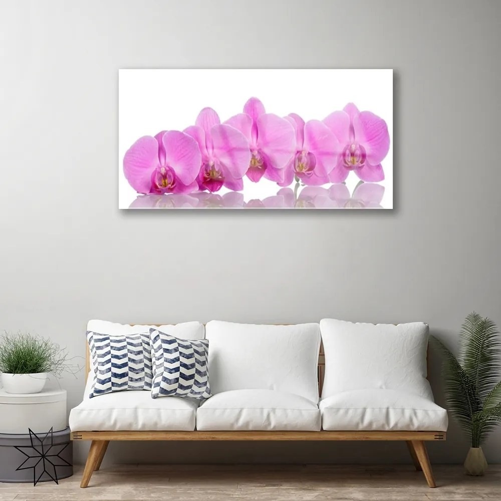 Obraz na skle Růžová Orchidej Květiny 100x50 cm