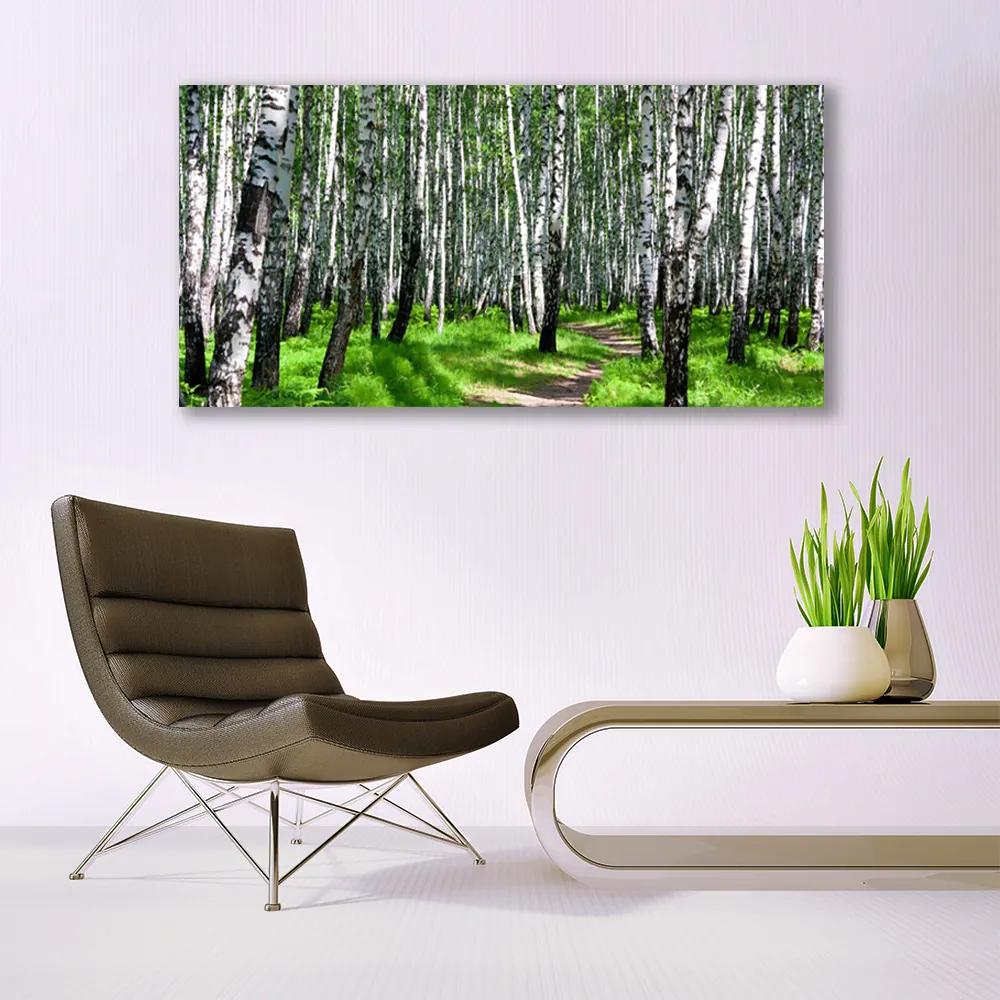 akrylový obraz Stromy Tráva Příroda 120x60 cm
