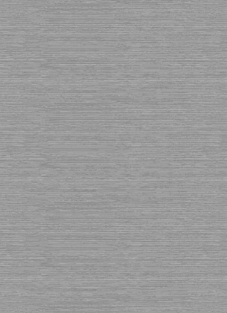 Moderní kusový koberec Fruzan 66/grey 200x300cm