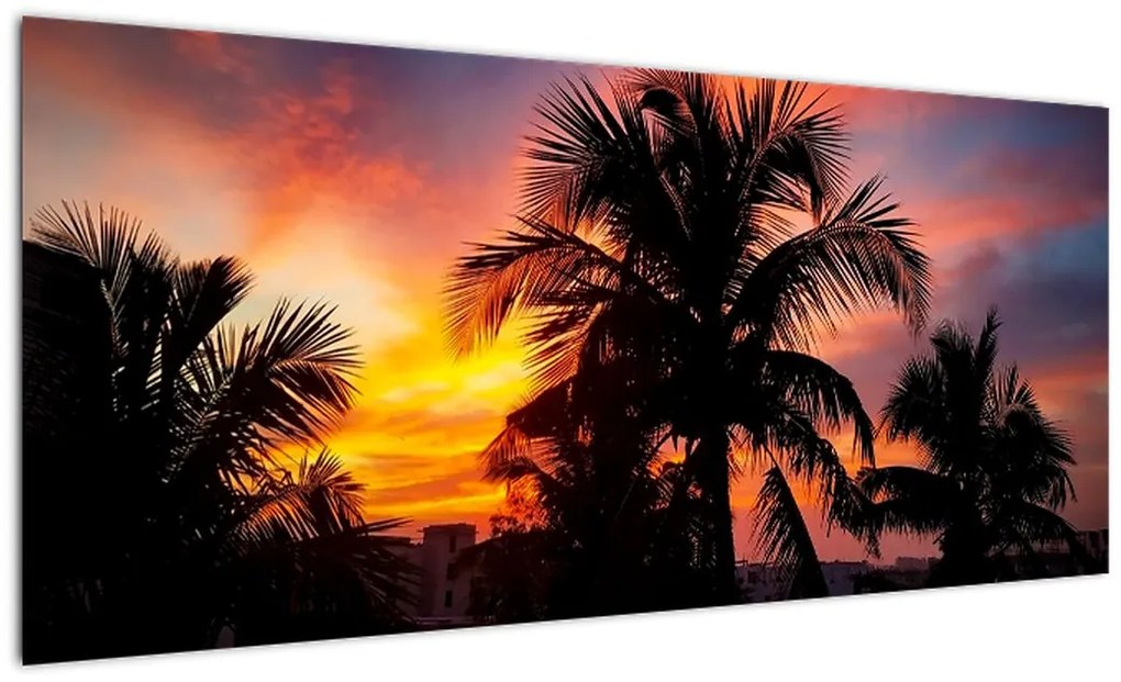 Obraz palmy na zeď (100x40cm)