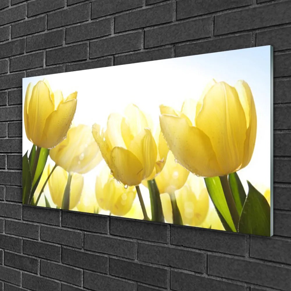 Obraz na skle Tulipány Květiny Paprsky 120x60 cm