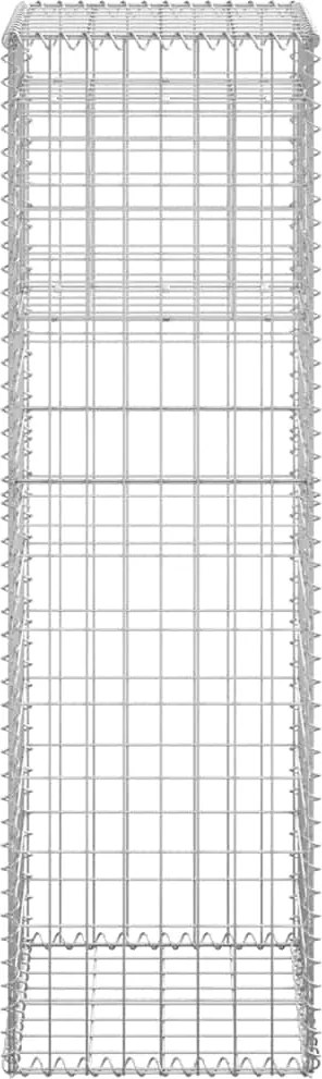 Gabionové sloupky 2 ks 40 x 40 x 140 cm železo 151263