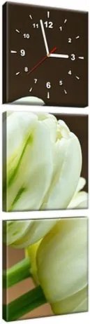 Tištěný obraz s hodinami Okouzlující bílé tulipány 30x30cm ZP1257A_1AI