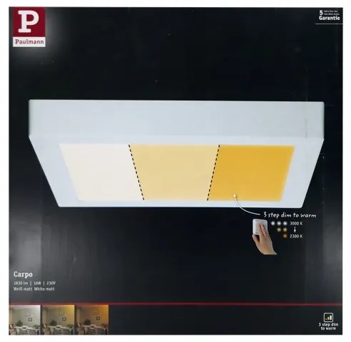 Paulmann 79801 - LED/13W Stropní svítidlo CARPO 230V 2300/2500/3000K