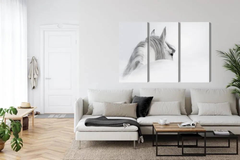 Vícedílný obraz Andaluský Kůň V Mlze Nedostatek Nedostatek Přírodní plátno 180x120