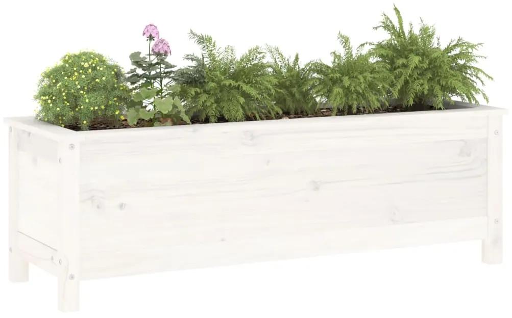 Zahradní vyvýšený záhon bílý 119,5x40x39 cm masivní borovice,  825262