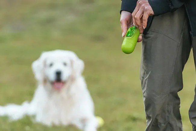 Pouzdro na sáčky pro psy GIZMO s rolkami (20 ks)