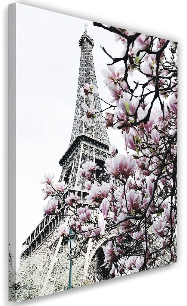 Gario Obraz na plátně Eiffelova věž a magnólie - Dmitry Belov Rozměry: 40 x 60 cm