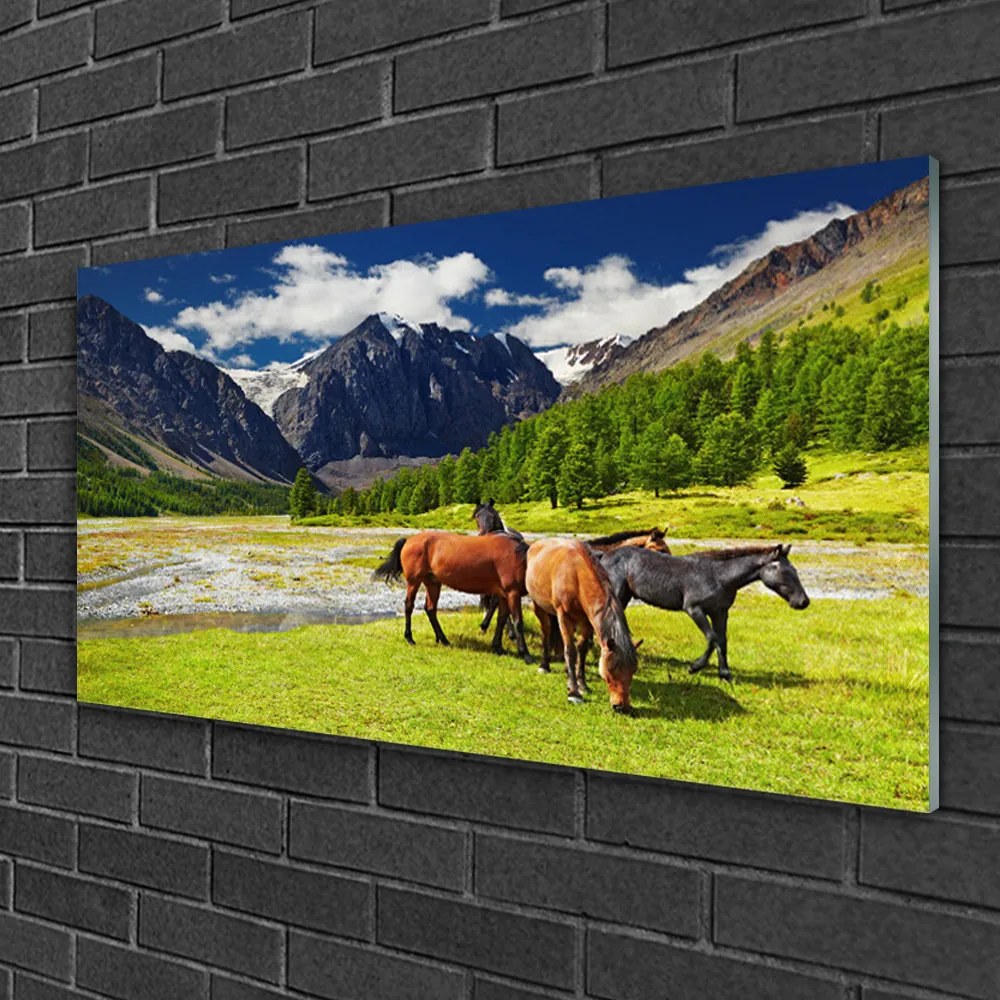 Obraz na skle Hory Stromy Koně Zvířata 120x60 cm