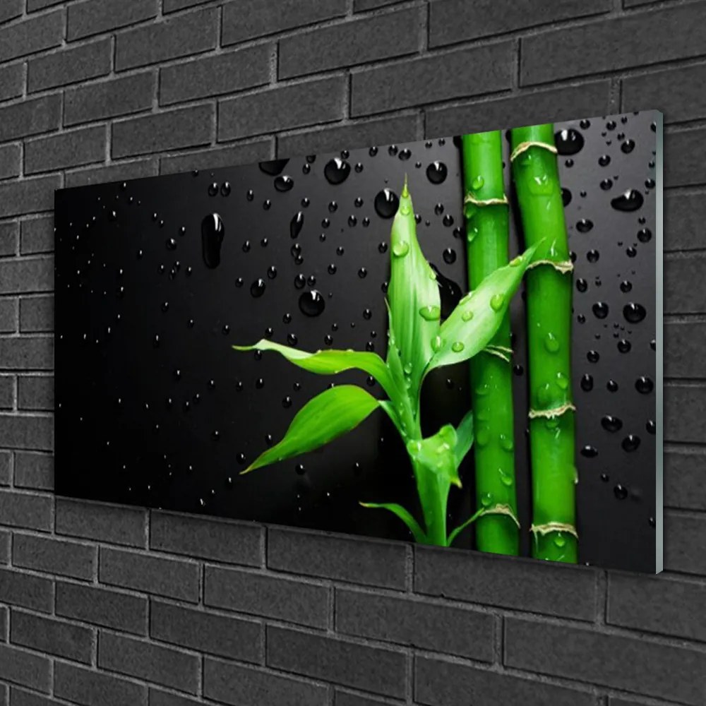 Obraz na skle Bambus Listy Rostlina 140x70 cm