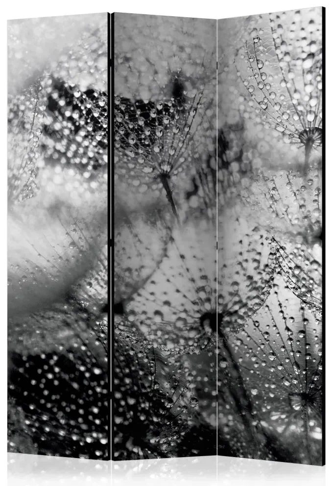 Paraván - Kiss of the Rain [Room Dividers] | BIANO