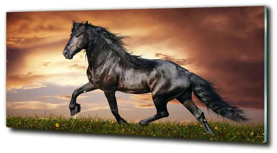 Wallmuralia Foto-obrah sklo tvrzené Klusající kůň 125x50 cm