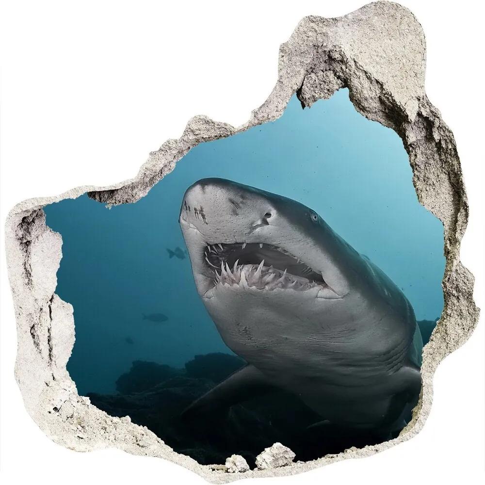 Wallmuralia Díra 3D fototapeta nálepka Velký žralok 75x75 cm