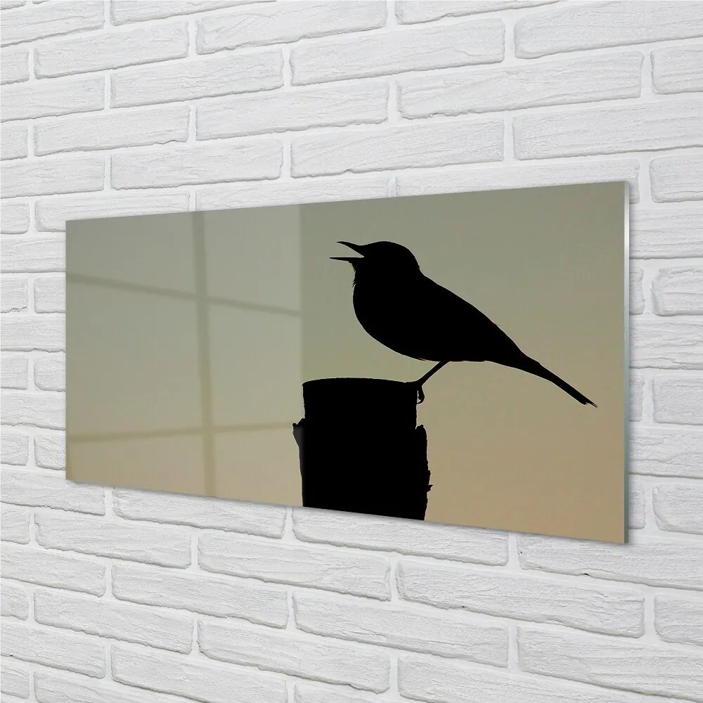 Obraz na skle černý pták 125x50 cm