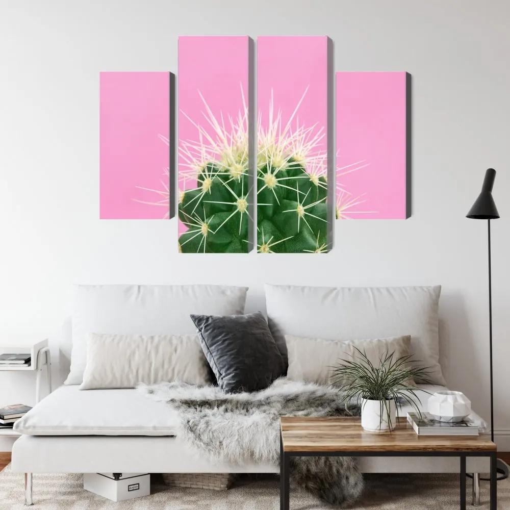 Vícedílný obraz Kaktus Na Růžovém Pozadí Nedostatek Nedostatek Přírodní plátno 200x150