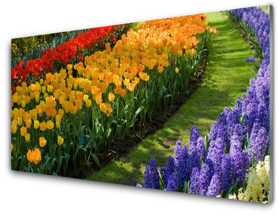 Obraz na skle Květiny Zahrada Tulipány 100x50 cm