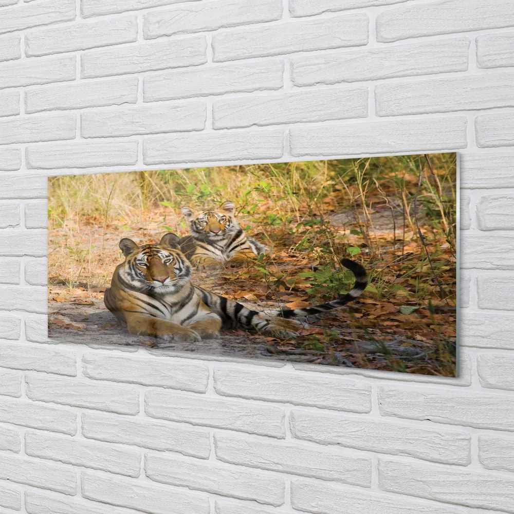 akrylový obraz Tigers 120x60 cm