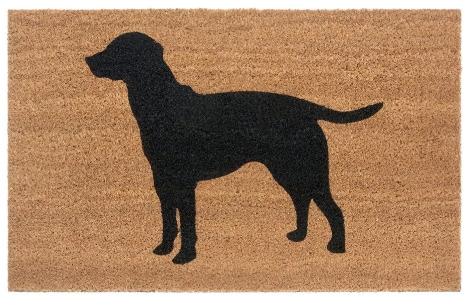 Rohožka 45x75 cm Mix Mats – Hanse Home