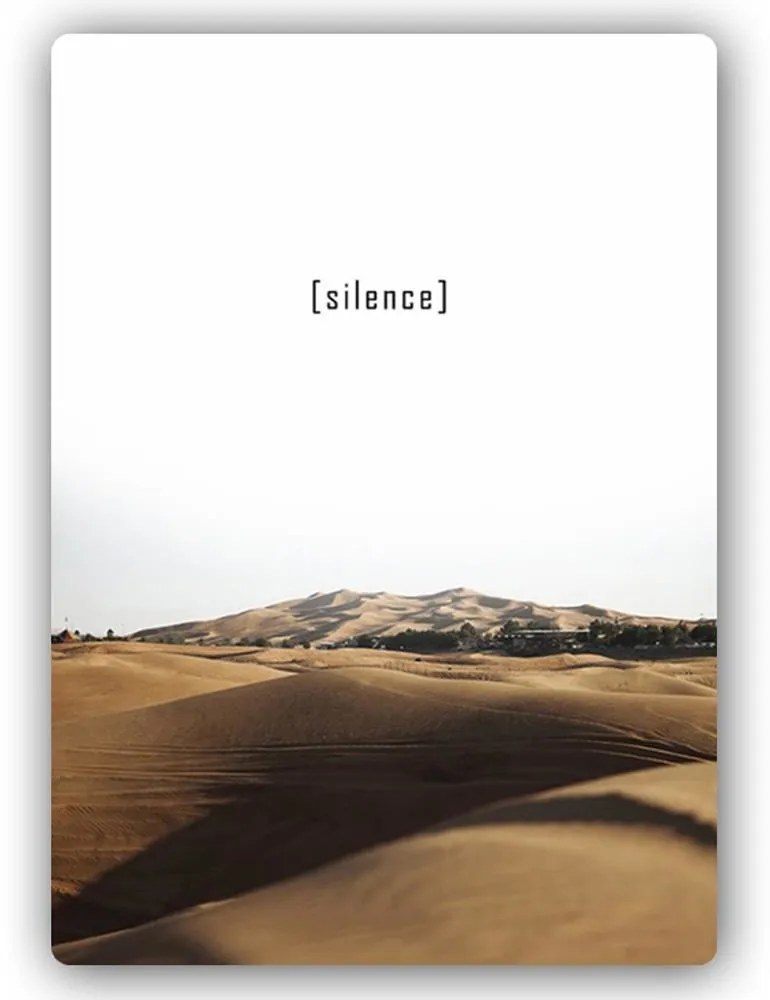 CARO Kovový obraz - Silence 2 30x40 cm