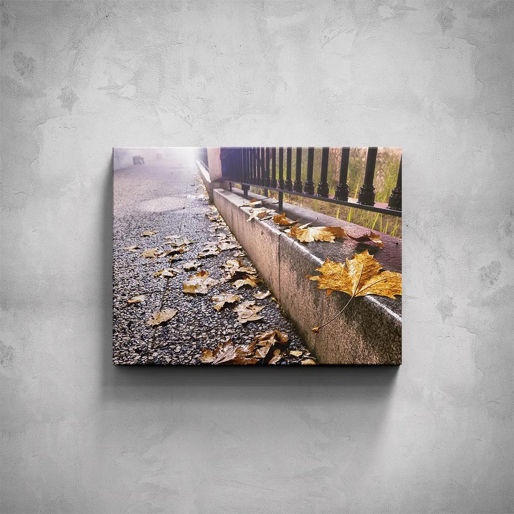 Obraz - Podzim chodník - PopyDesign
