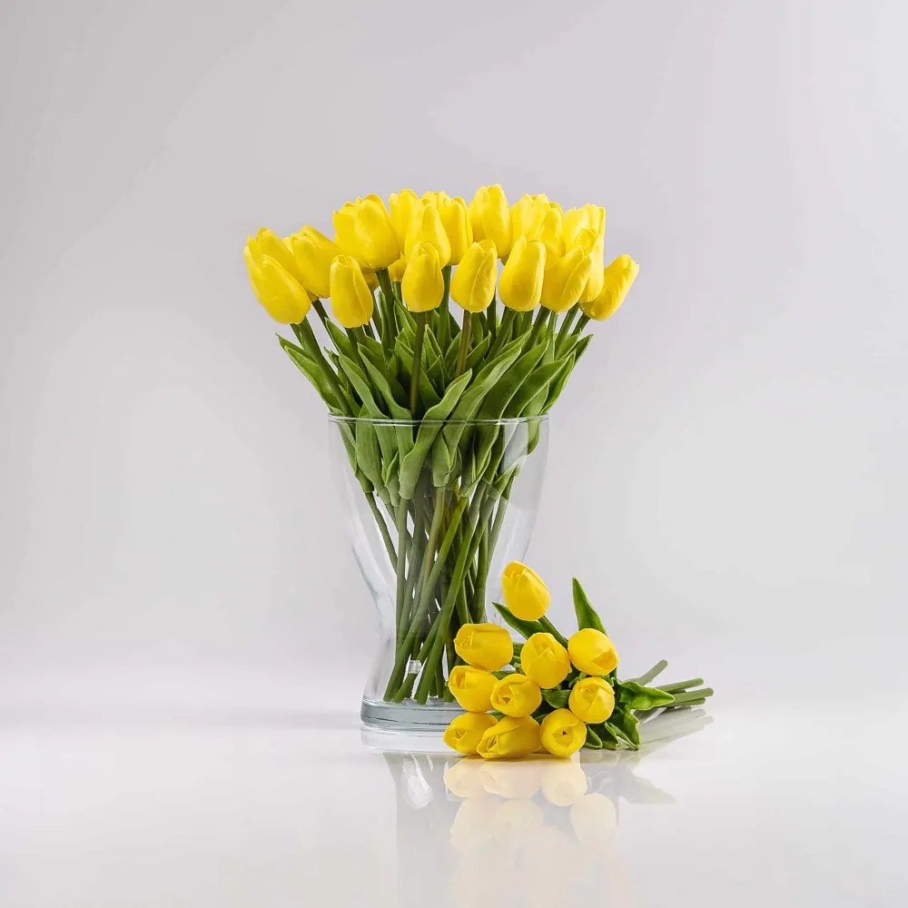 Rozkošný tulipán IVONA
