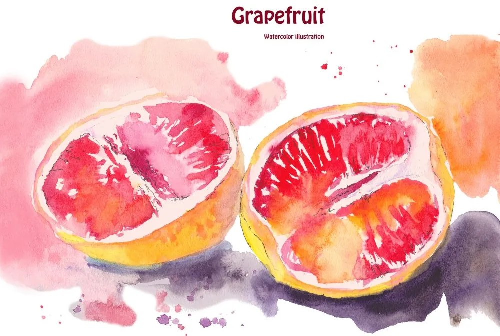 Obraz Grapefruit Malovaný Akvarelem Nedostatek Nedostatek Plátno Canvas 40x30