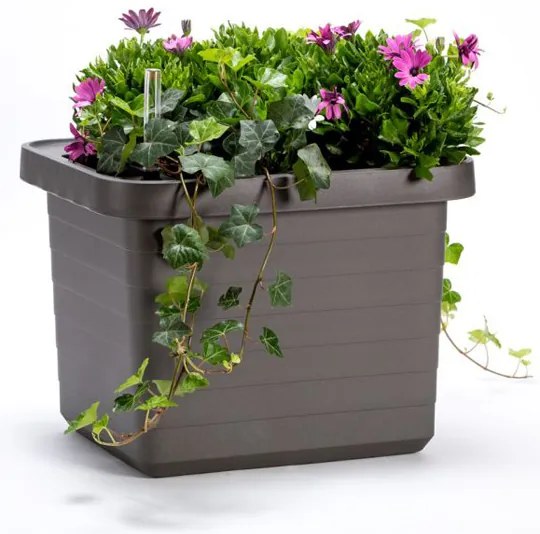 Samozavlažovací velkoobjemový truhlík Berberis UNO antracit 45 cm