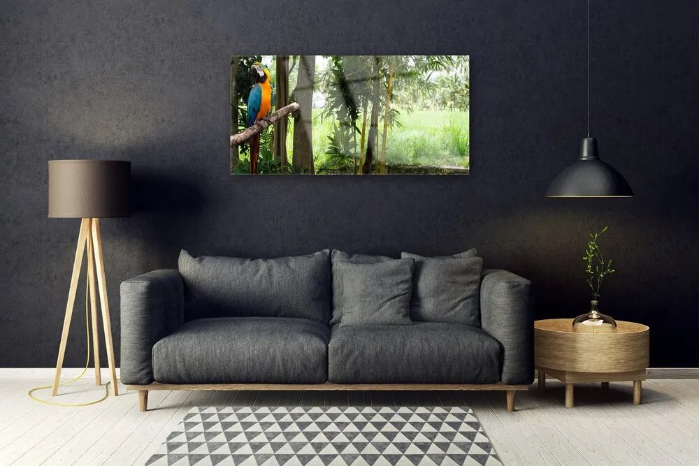 Obraz na skle Papoušek Stromy Příroda 140x70 cm