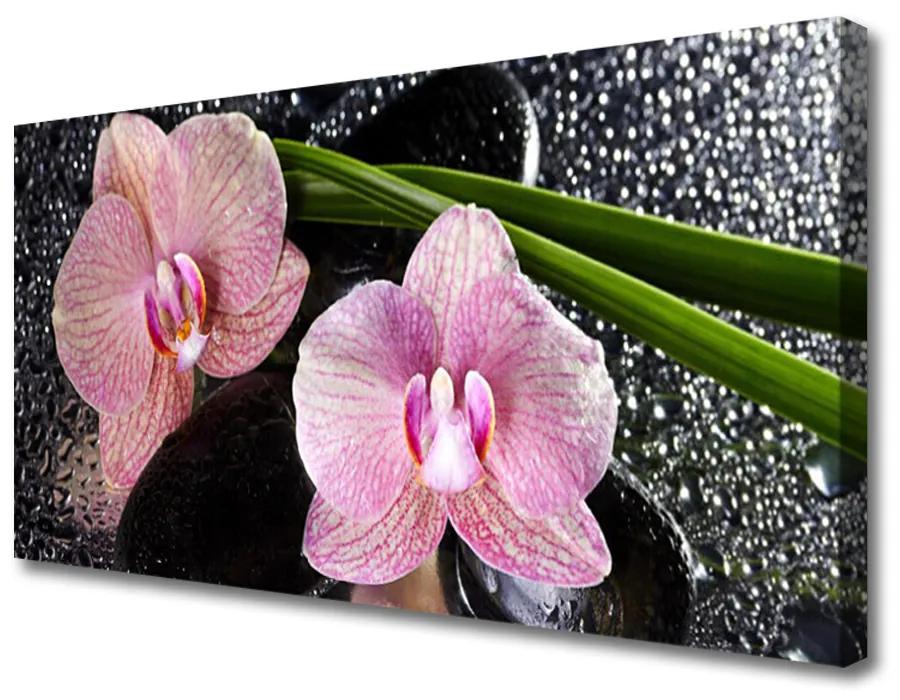 Obraz na plátně Květiny Orchidej Kameny Zen 100x50 cm