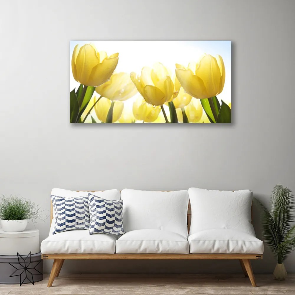 Obraz na plátně Tulipány Květiny Paprsky 120x60 cm