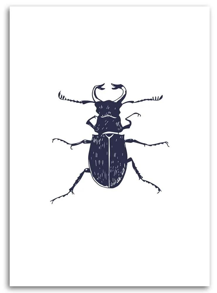 Obraz na plátně Hmyz - 80x120 cm