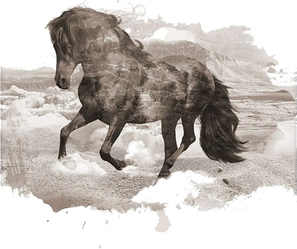 Plakát Horse