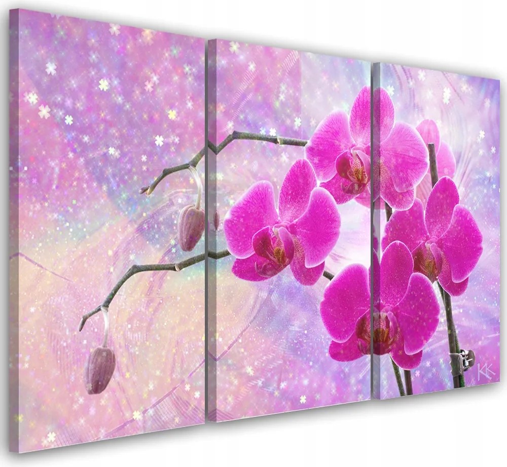 Obraz triptych na plátně, Éterická orchidej abstrakce 60x40