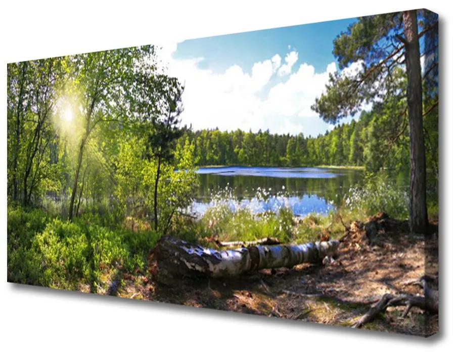 Obraz na plátně Les Stromy Jezero Příroda 120x60 cm