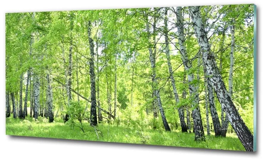 Wallmuralia Foto obraz fotografie na skle Břízový les 100x50