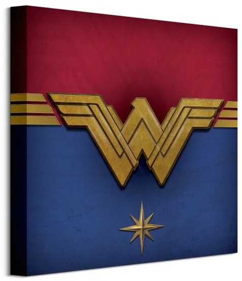 Obraz na plátně DC Comics Wonder Woman Emblem 40x40cm WDC95912