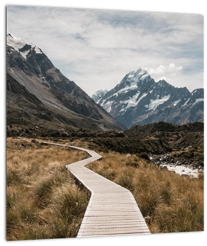 Obraz - Chodník v údolí hory Mt. Cook (30x30 cm)