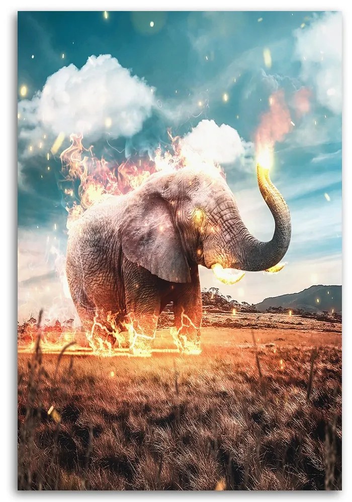 Gario Obraz na plátně Slon v plamenech - Alex Griffith Rozměry: 40 x 60 cm