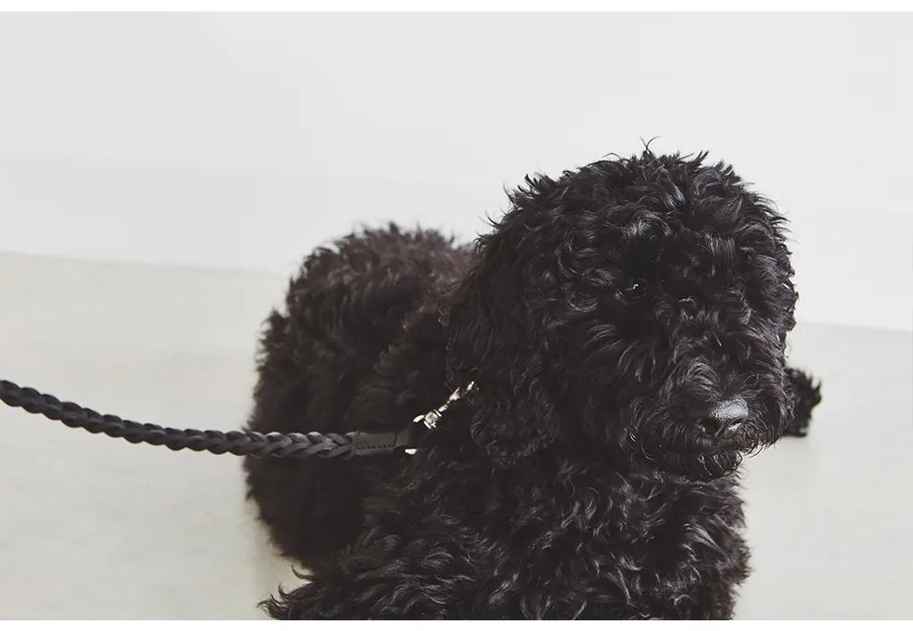 Kožené pletené vodítko pro psa MiaCara Bergamo Long černá
