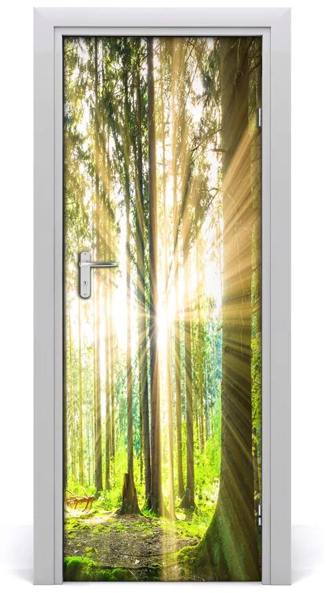 Fototapeta na dveře slunce v lese 75x205 cm
